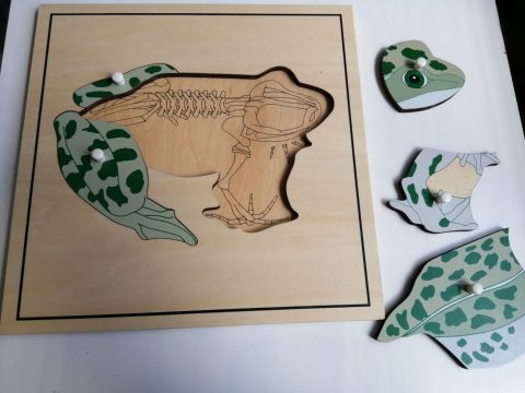 Puzzles de Zoología Montessori: - Tu guía Montessori. Miriam Escacena