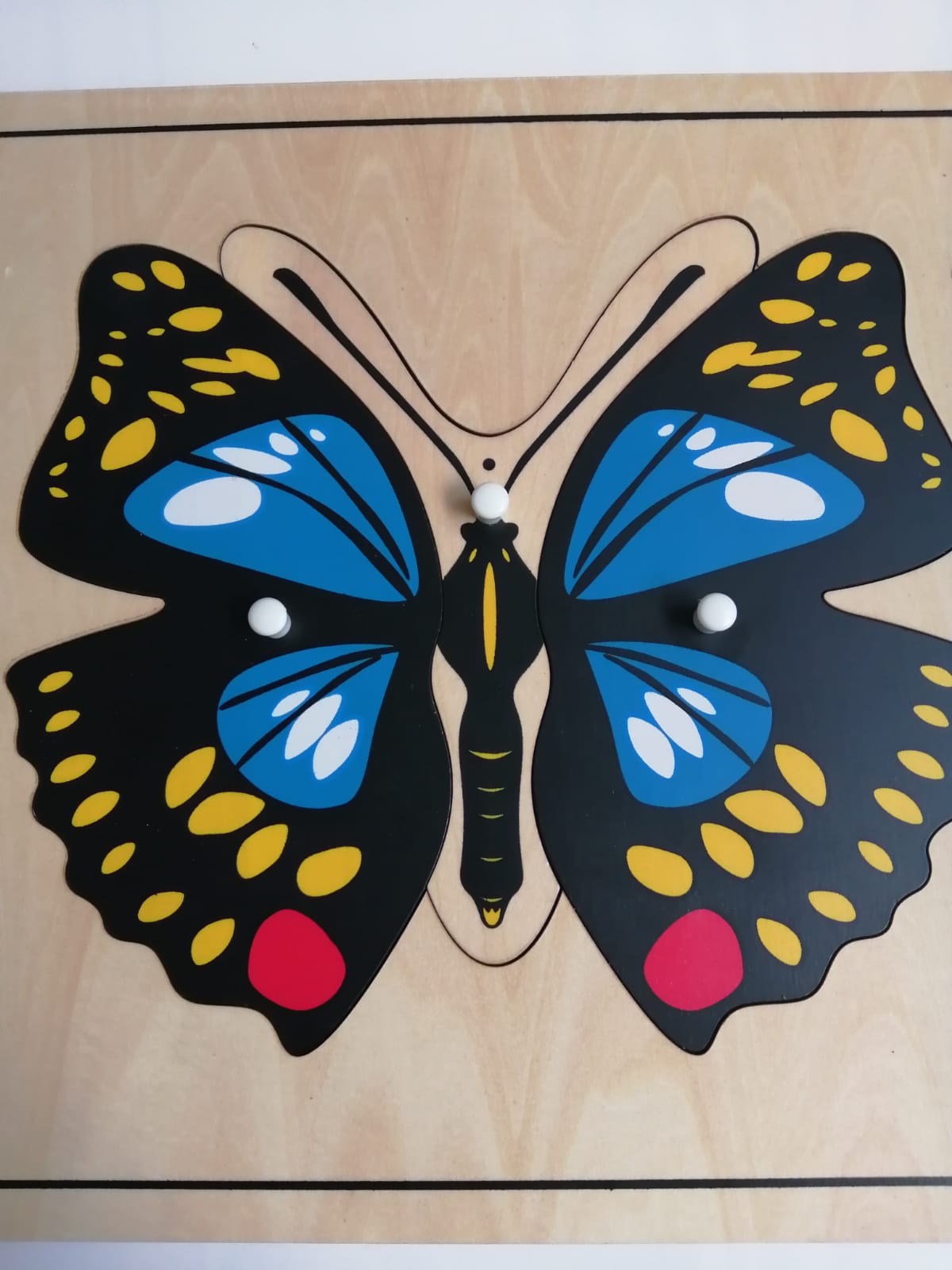 Puzzles de Zoología Montessori: - Tu guía Montessori. Miriam Escacena