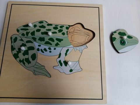 Puzzles de Zoología Montessori: - Tu guía Montessori. Miriam Escacena