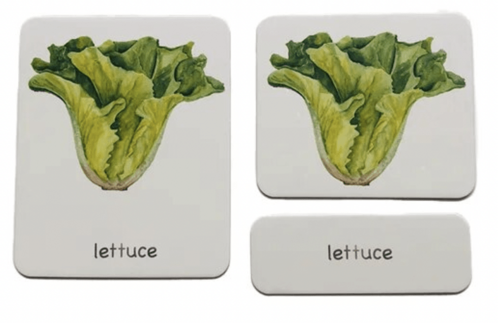 Tarjetas de tres partes Montessori: qué son y cómo se utilizan - Tu ...