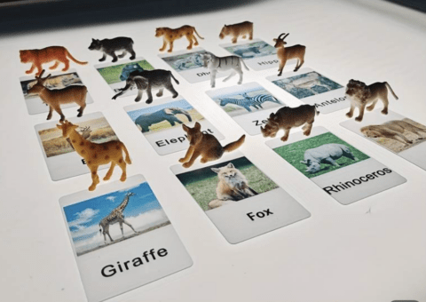 Tarjetas de tres partes Montessori: qué son y cómo se utilizan - Tu ...