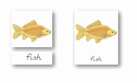 Tarjetas de tres partes Montessori: qué son y cómo se utilizan - Tu ...