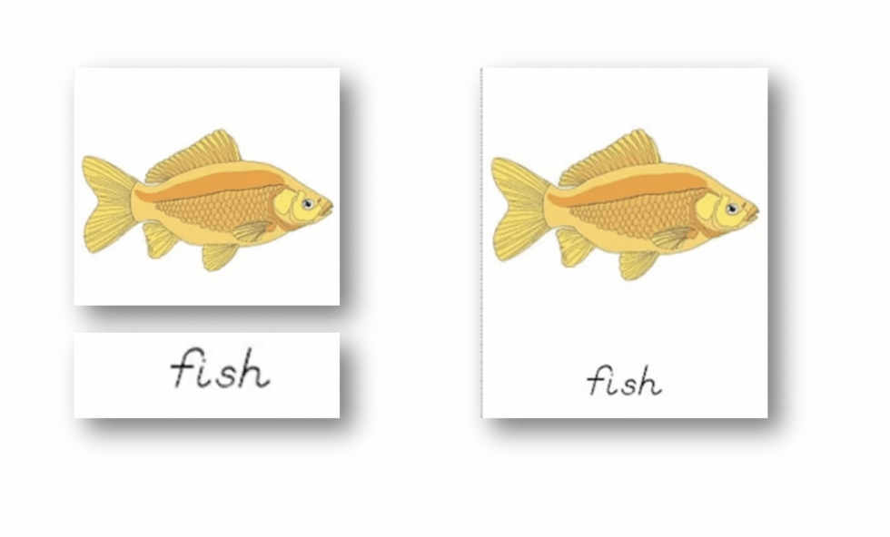 Tarjetas de tres partes Montessori: qué son y cómo se utilizan - Tu ...