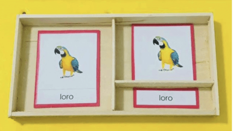 Tarjetas de tres partes Montessori: qué son y cómo se utilizan - Tu ...